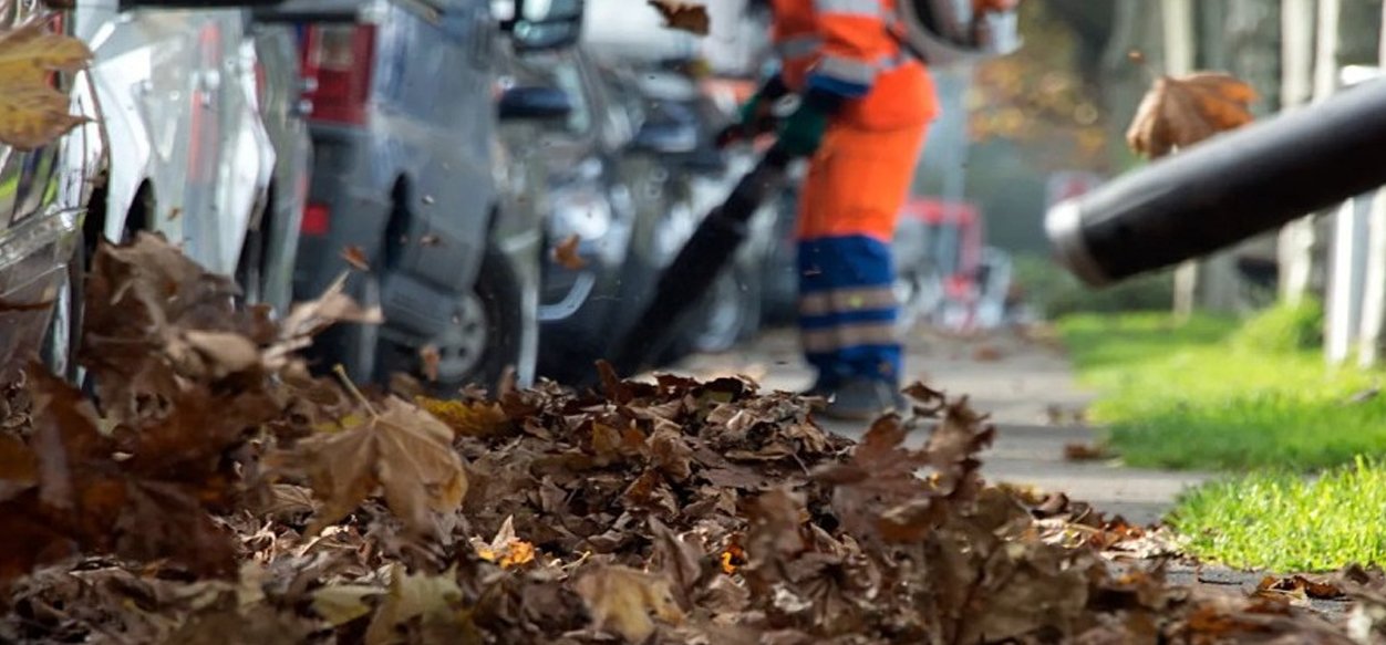 Brasil compra antídotos ante el aumento de las intoxicaciones - El ...