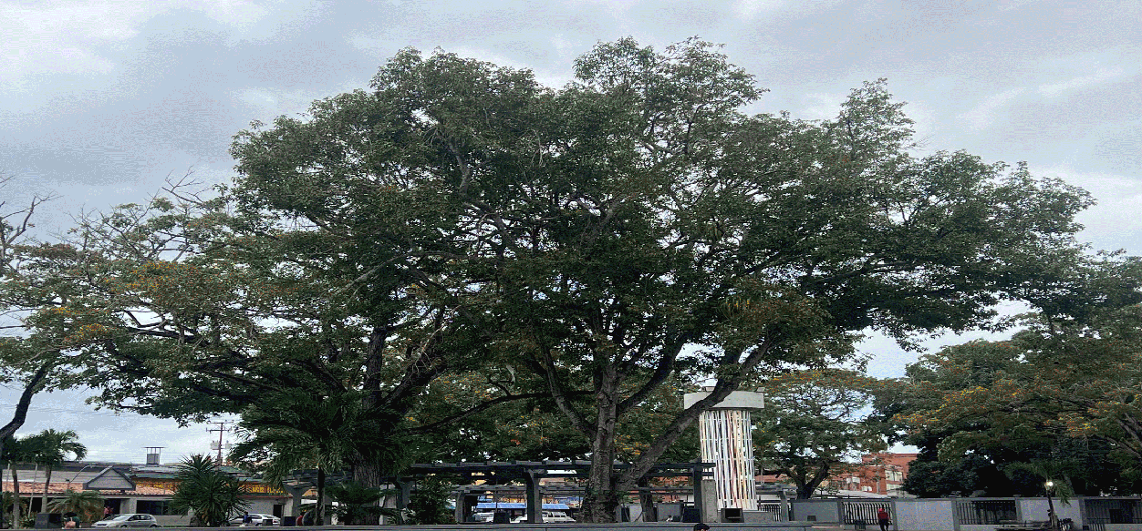 Educación y responsabilidad claves para preservar la belleza de la ...