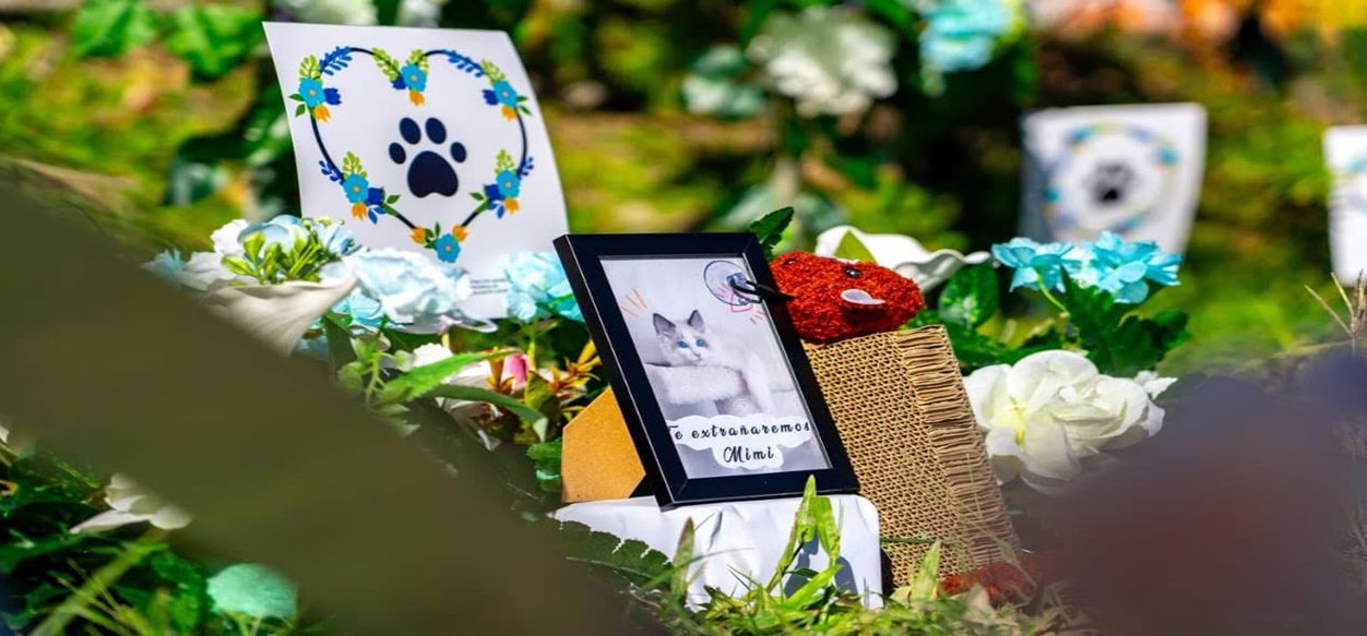 Nueva ley permite sepultar mascotas junto a sus dueños en Brasil - El ...